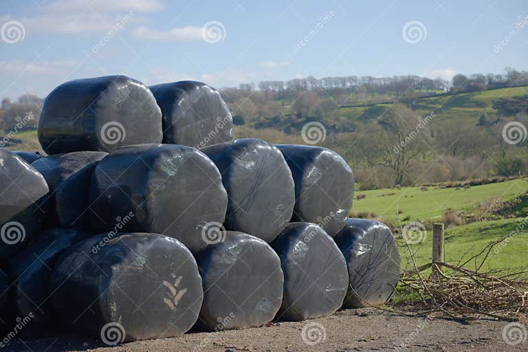Stack of Black Plastic Wrapped Hay Bales, with Copy Space To the Right ...