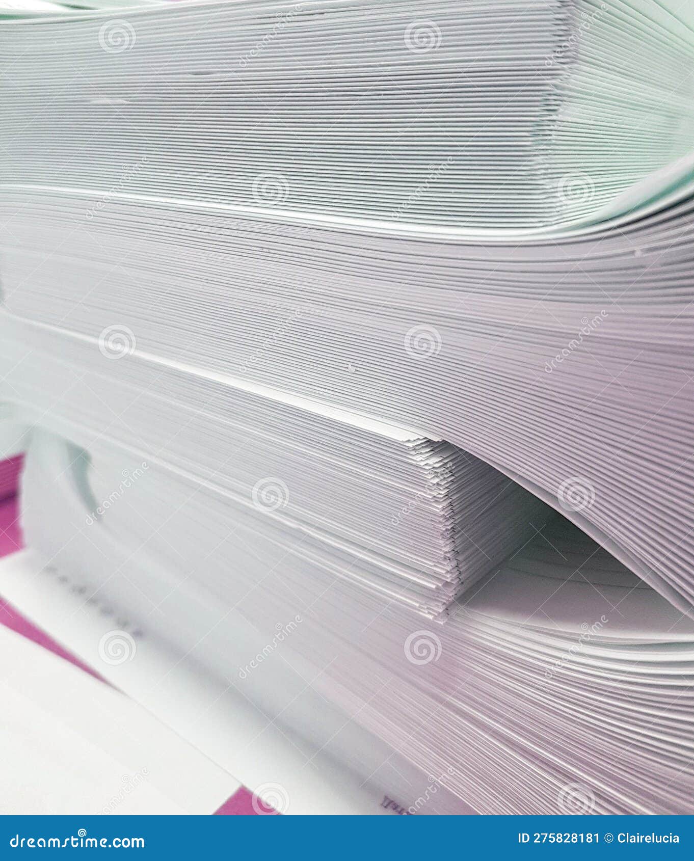 A Stack of Blank Paper, Book Blocks Prepared for Binding in a Printing ...