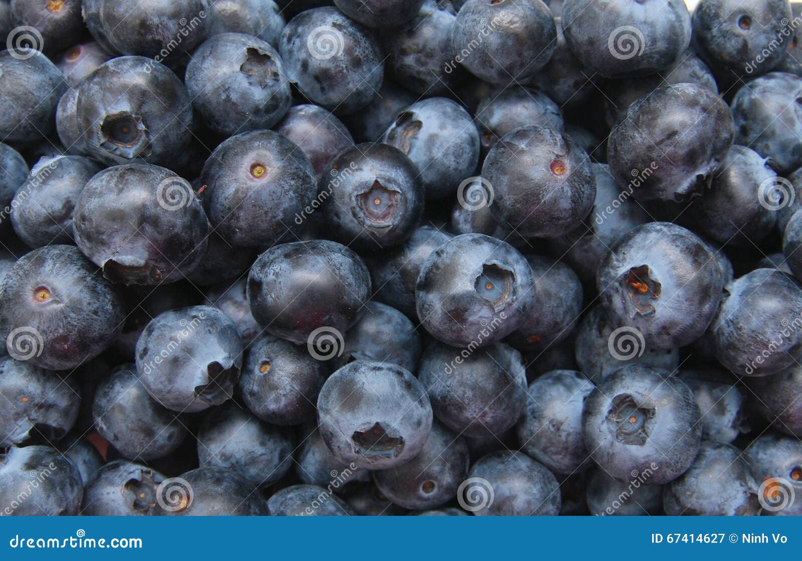 Stack blueberries stock image. Image of gourmet, juicy - 67414627