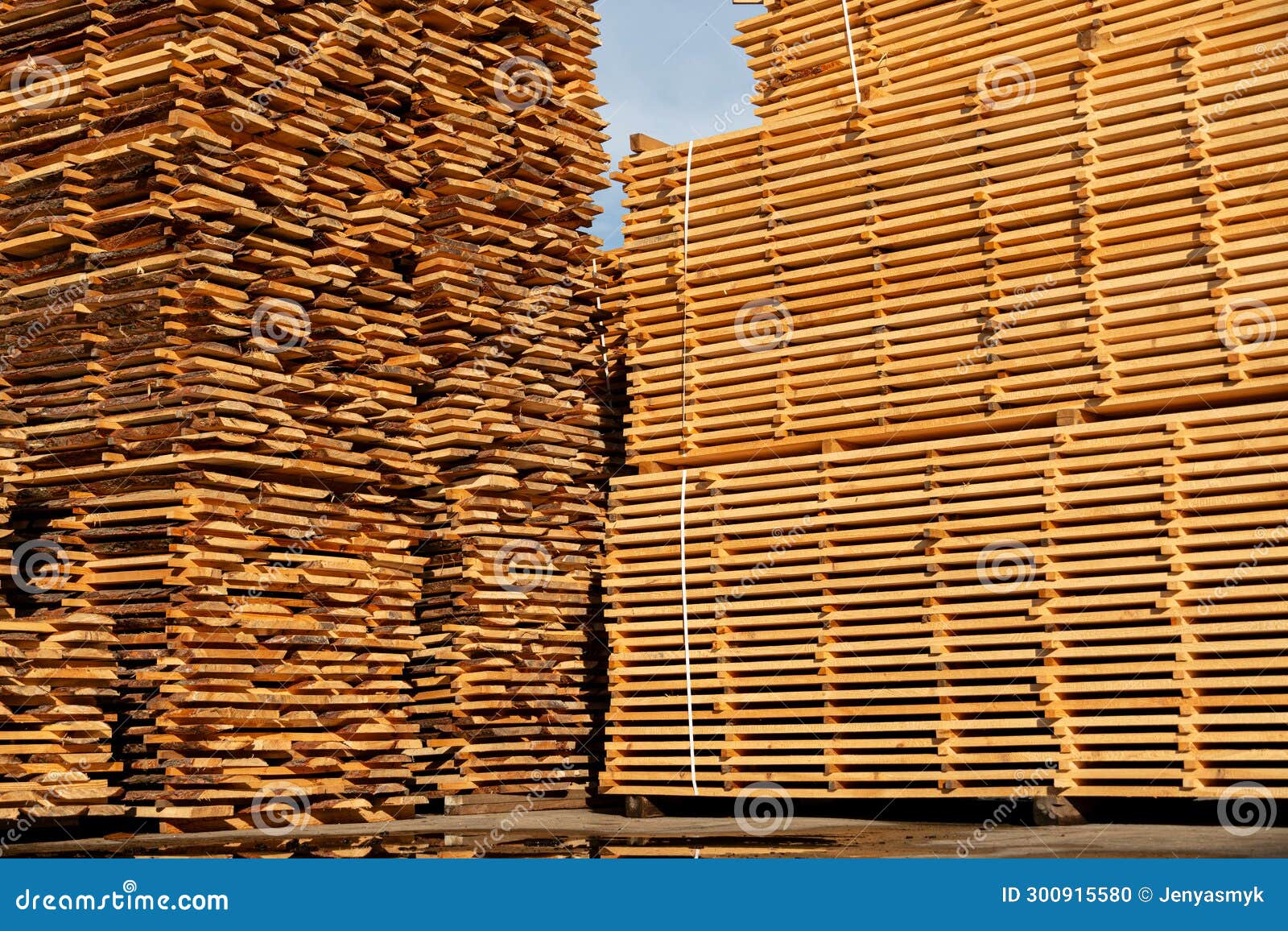 A Stack of Boards on a Sawmill. Drying Wood on a Sawmill. Production of ...