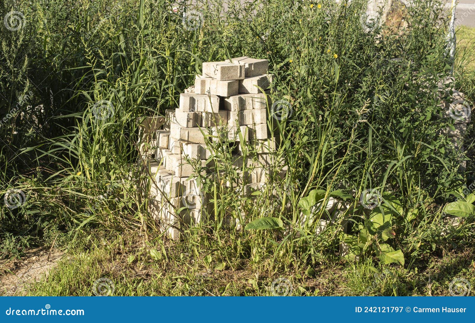 A Stack of Bone Shaped Concrete Pavers Stock Image - Image of stack ...