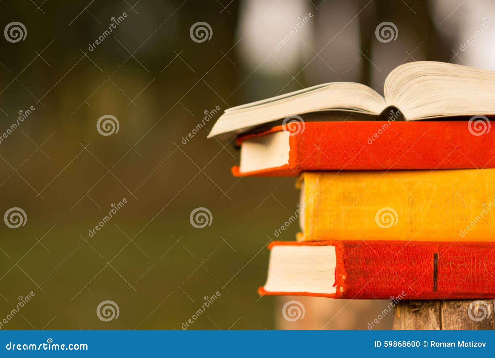 Stack Of Book And Open Hardback Book On Blurred Nature Landscape ...
