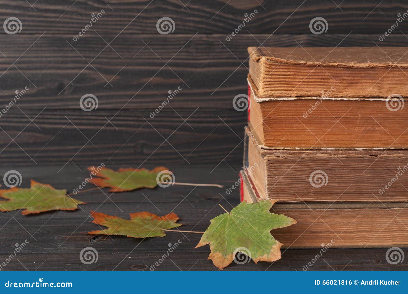 Stack of Books with Autumn Maple Leaves Stock Photo - Image of diary ...