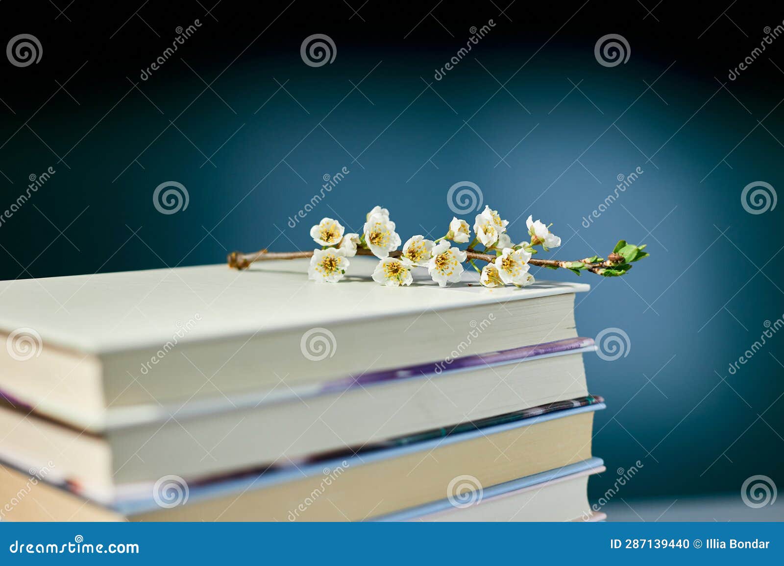 Stack of Books with Branch Flowers, World Book Day Stock Photo - Image ...