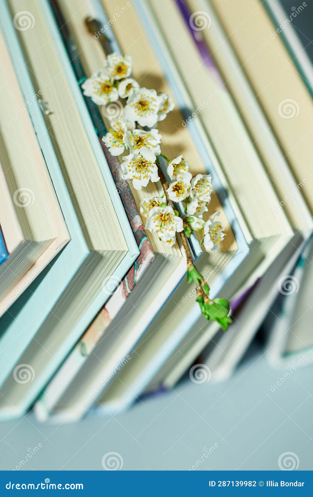 Stack of Books with Branch Flowers, World Book Day Stock Photo - Image ...