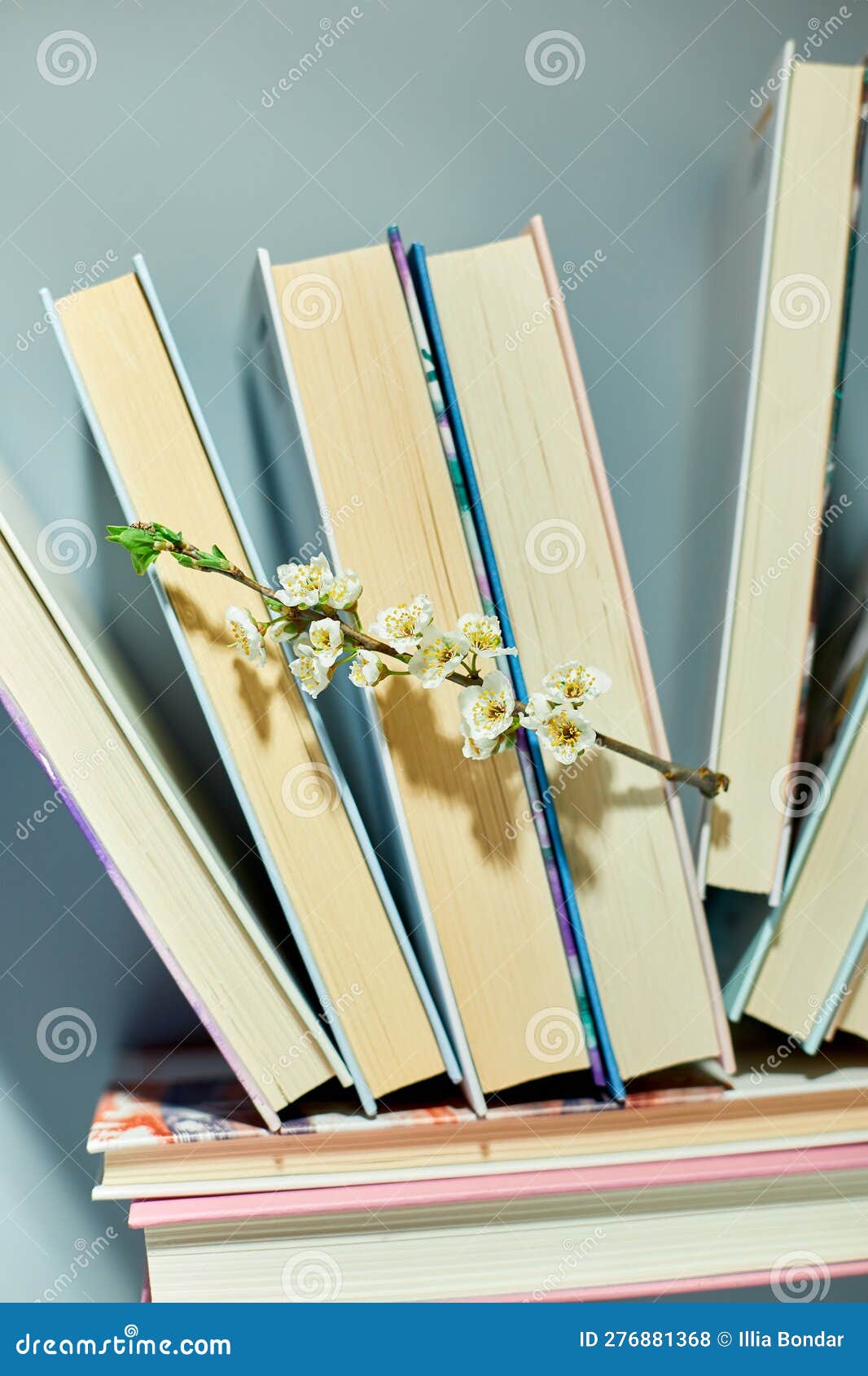 Stack of Books with Branch Flowers, World Book Day Stock Photo - Image ...
