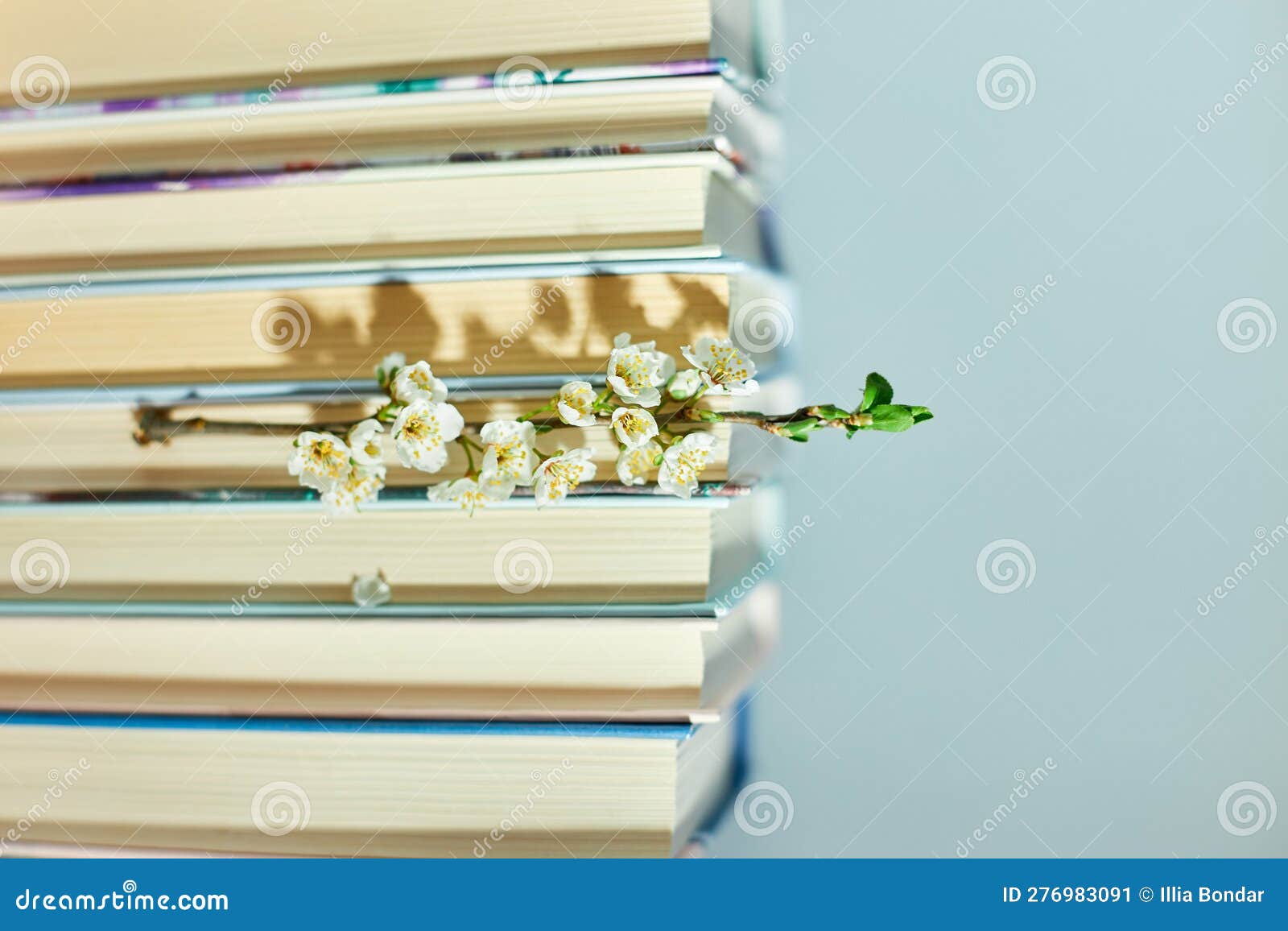 Stack of Books with Branch Flowers, World Book Day Stock Image - Image ...