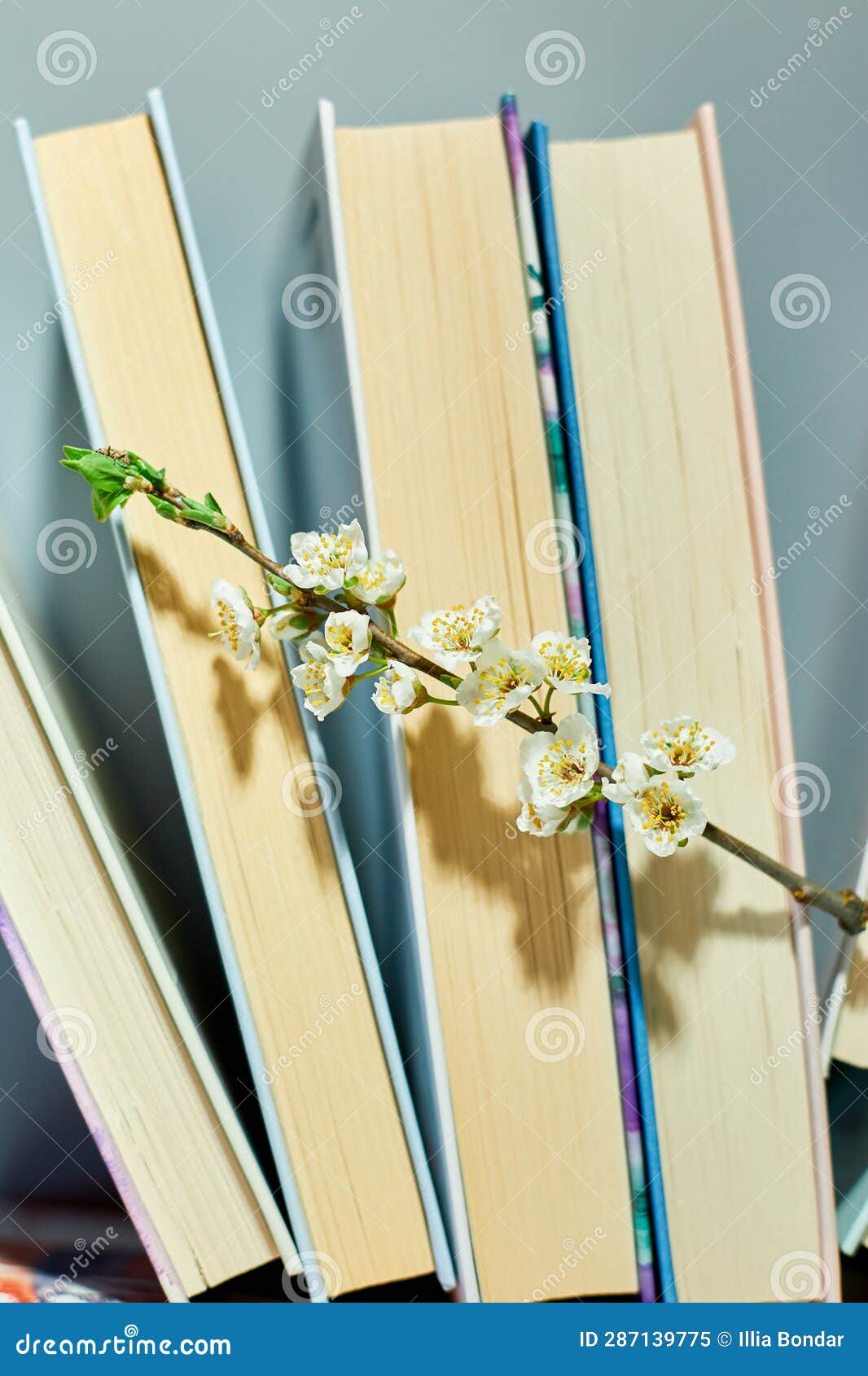 Stack of Books with Branch Flowers, World Book Day Stock Image - Image ...