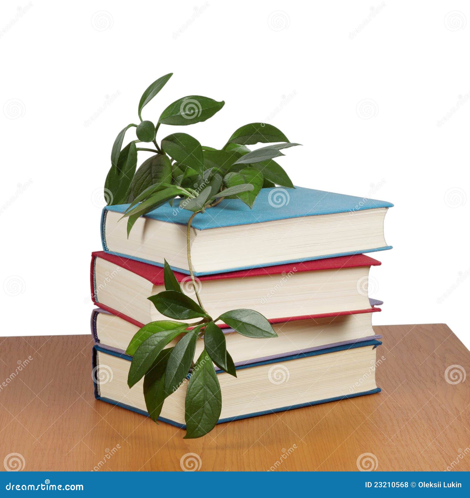 A Stack of Books with a Curling Flower Stock Photo - Image of copy ...