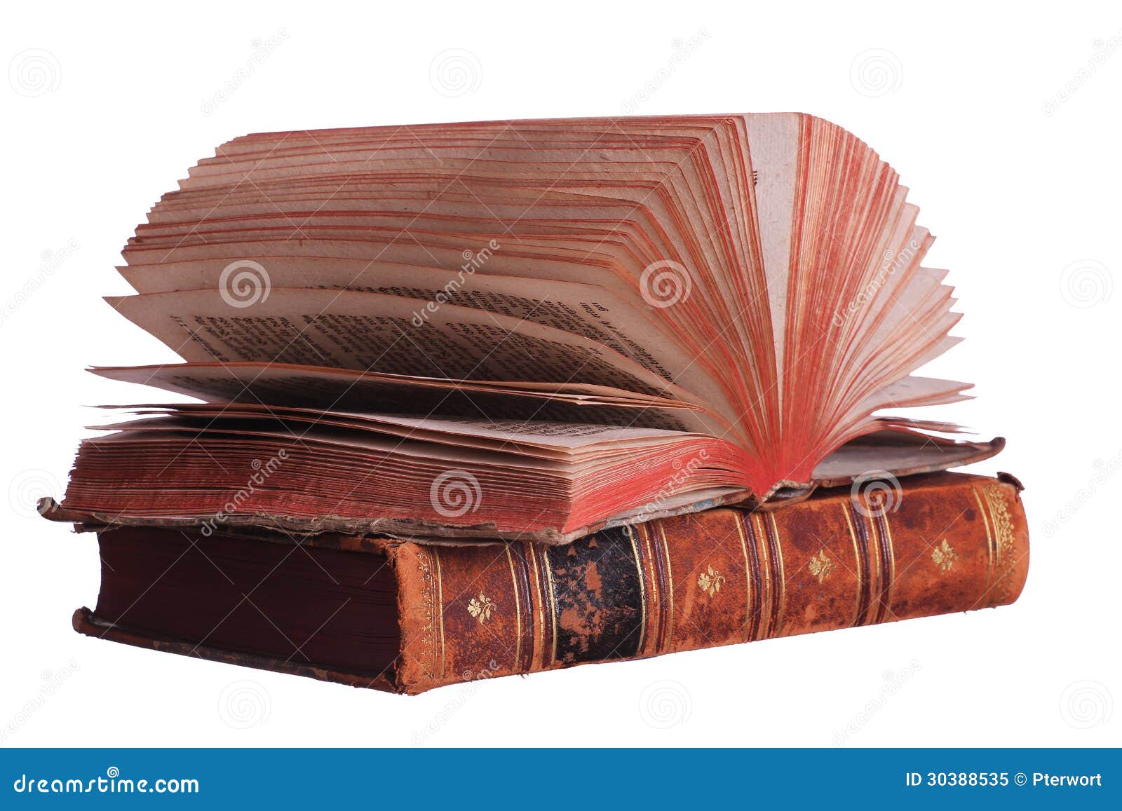 Stack of Books with Fanned Pages Stock Image - Image of book, literary ...