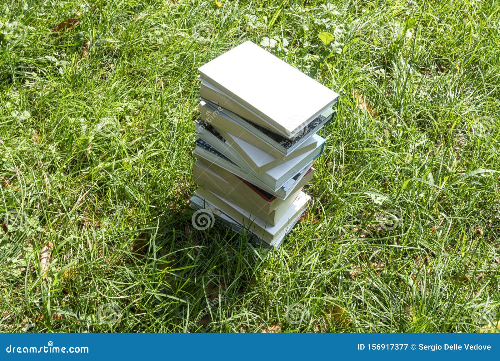 A Stack of Books on the Grass Stock Image - Image of background ...