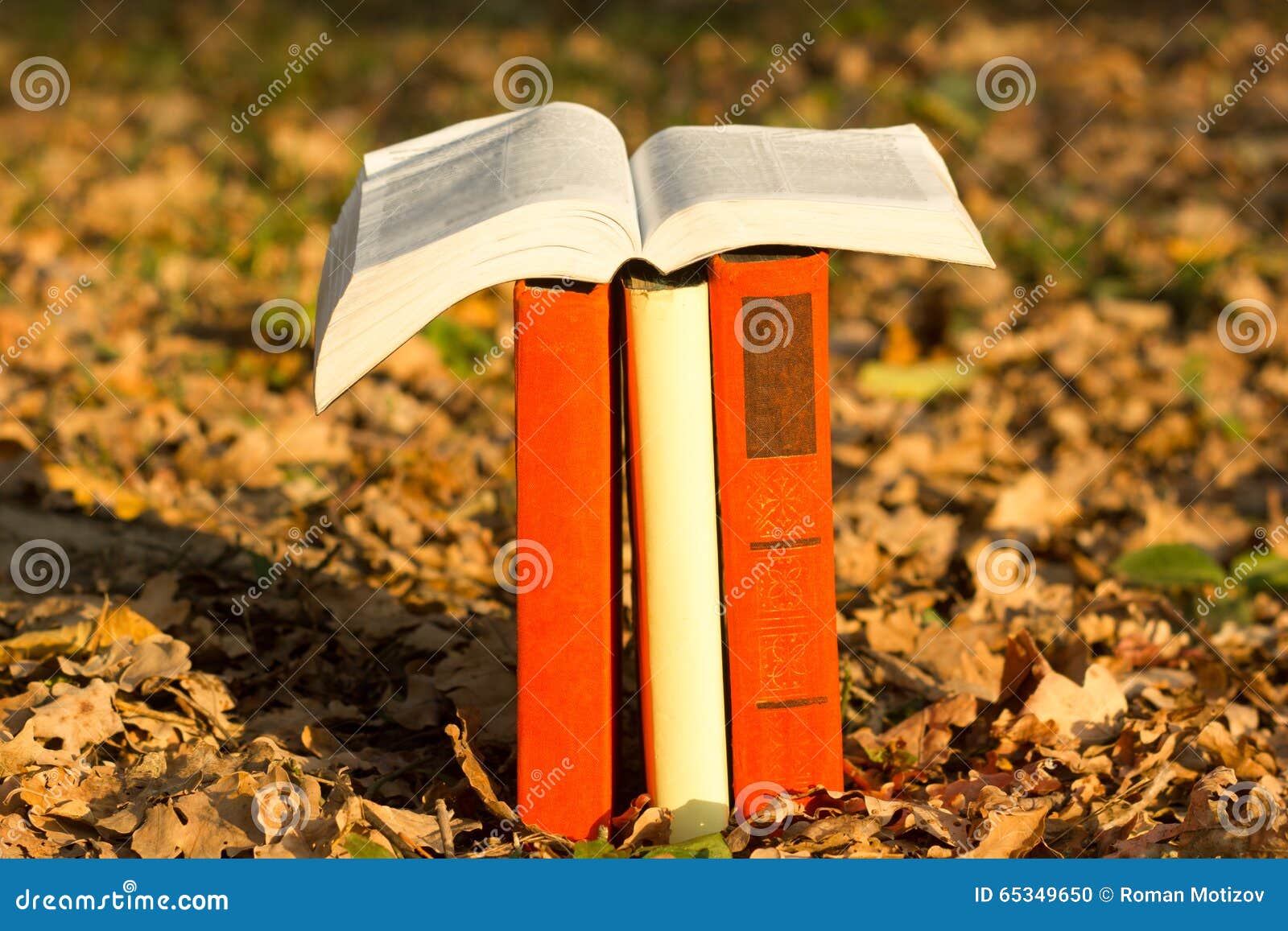Stack of Books and Open Hardback Book on Blurred Stock Photo - Image of ...