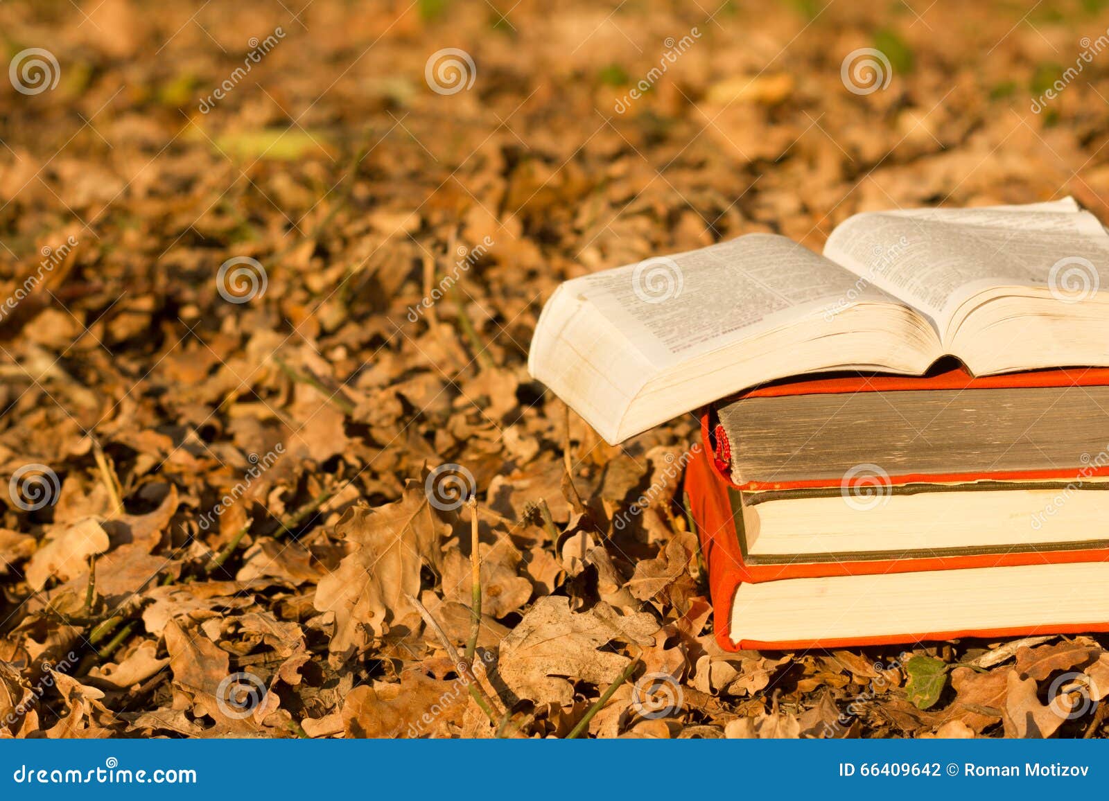 Stack of Books and Open Hardback Book on Blurred Nature Landscape ...