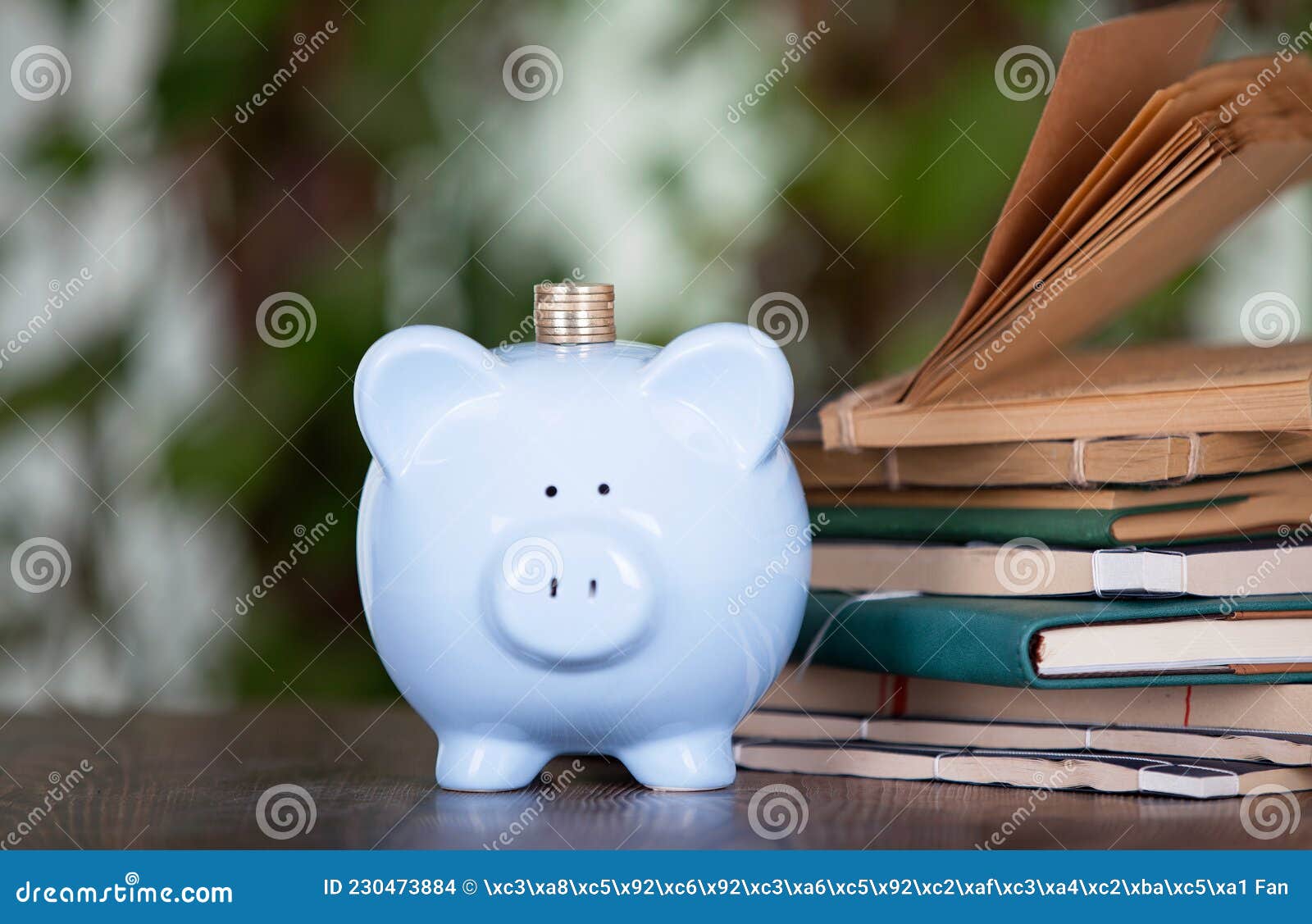 A Stack of Books and Piggy Bank Stock Photo - Image of stack, concept ...