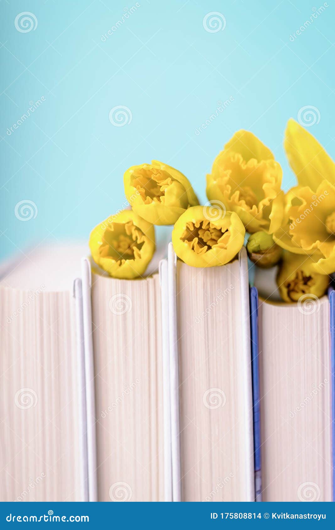 A Stack of Books with Spring Yellow Daffodils Flowers on Aqua Color ...