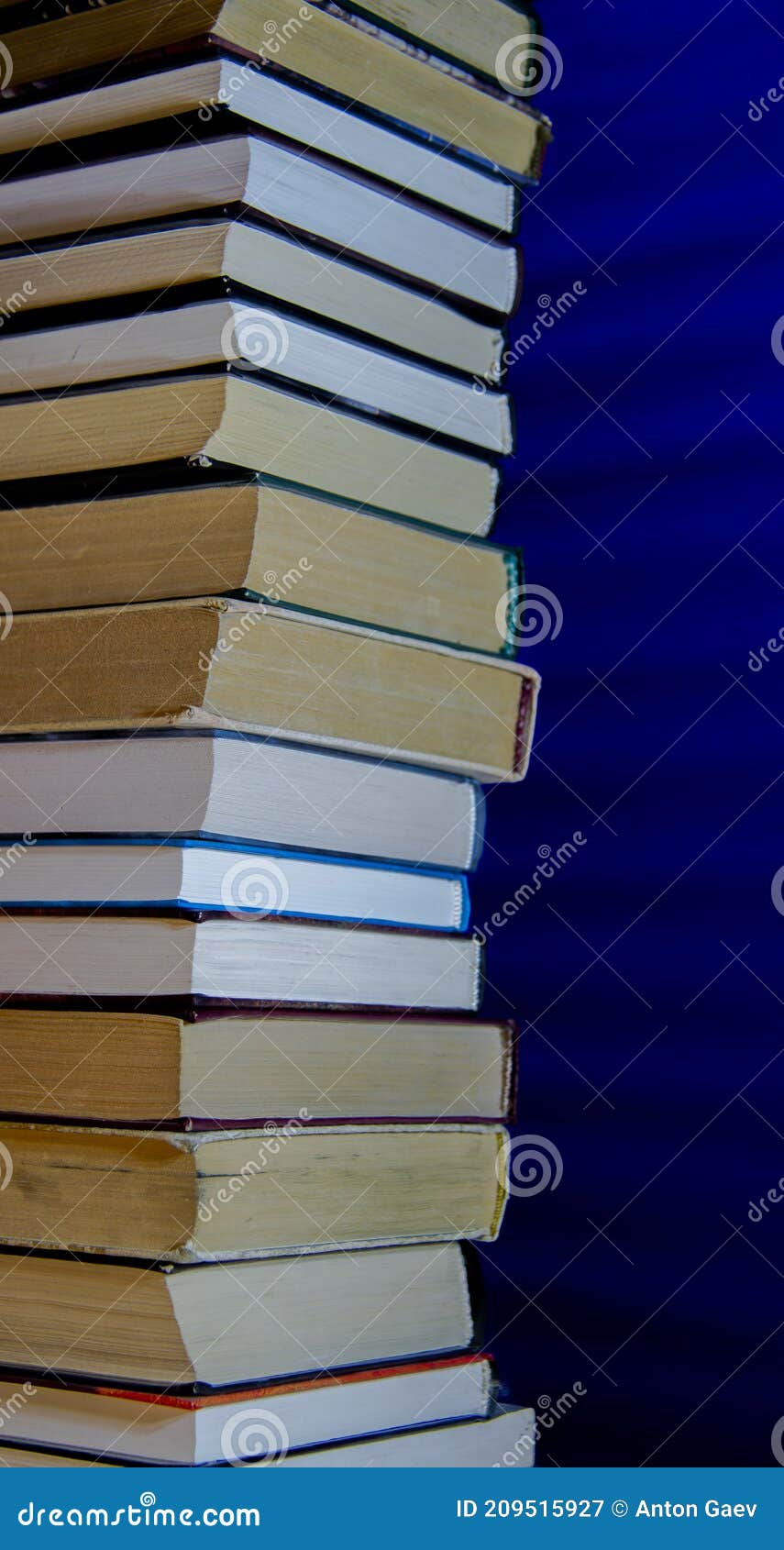 Books Standing on the Shelf Stock Image - Image of shelf, school: 209515927