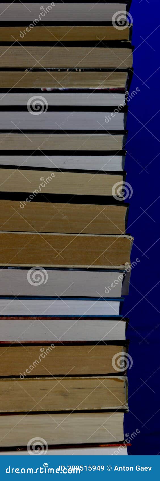 Books Standing on the Shelf Stock Image - Image of standing, background ...