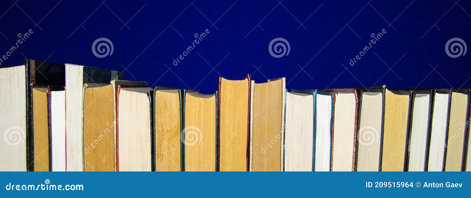 Books Standing on the Shelf Stock Photo - Image of learning, education ...