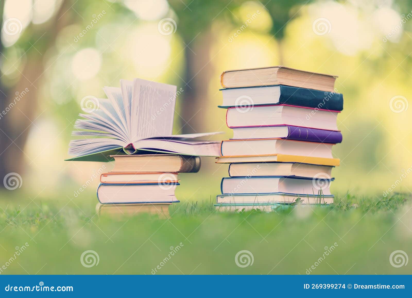 Stack of the Books Standing on the Green Meadow Outdoors. Stock Photo ...