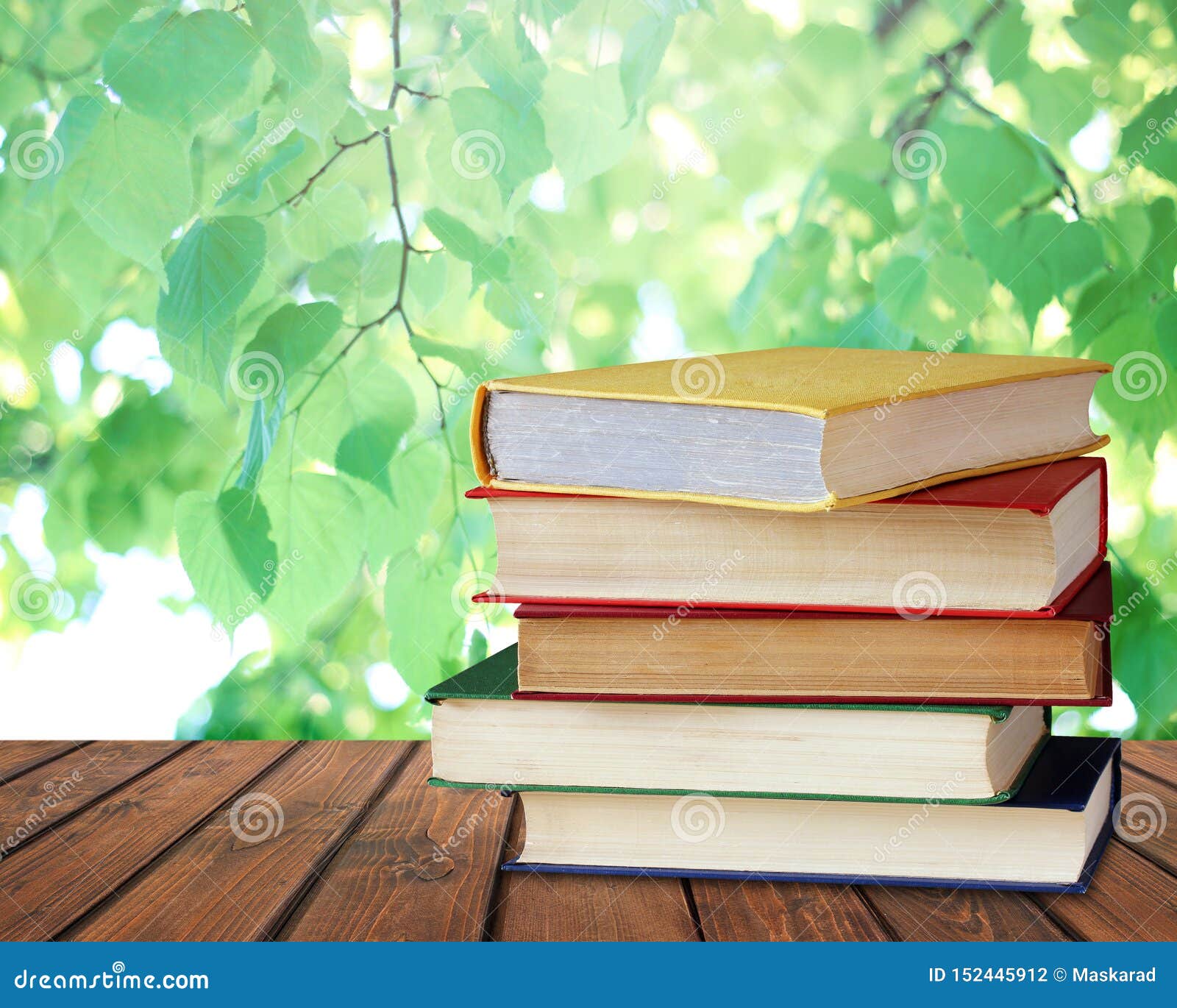Stack of Books on the Table on a Blurred Background of Nature Stock ...