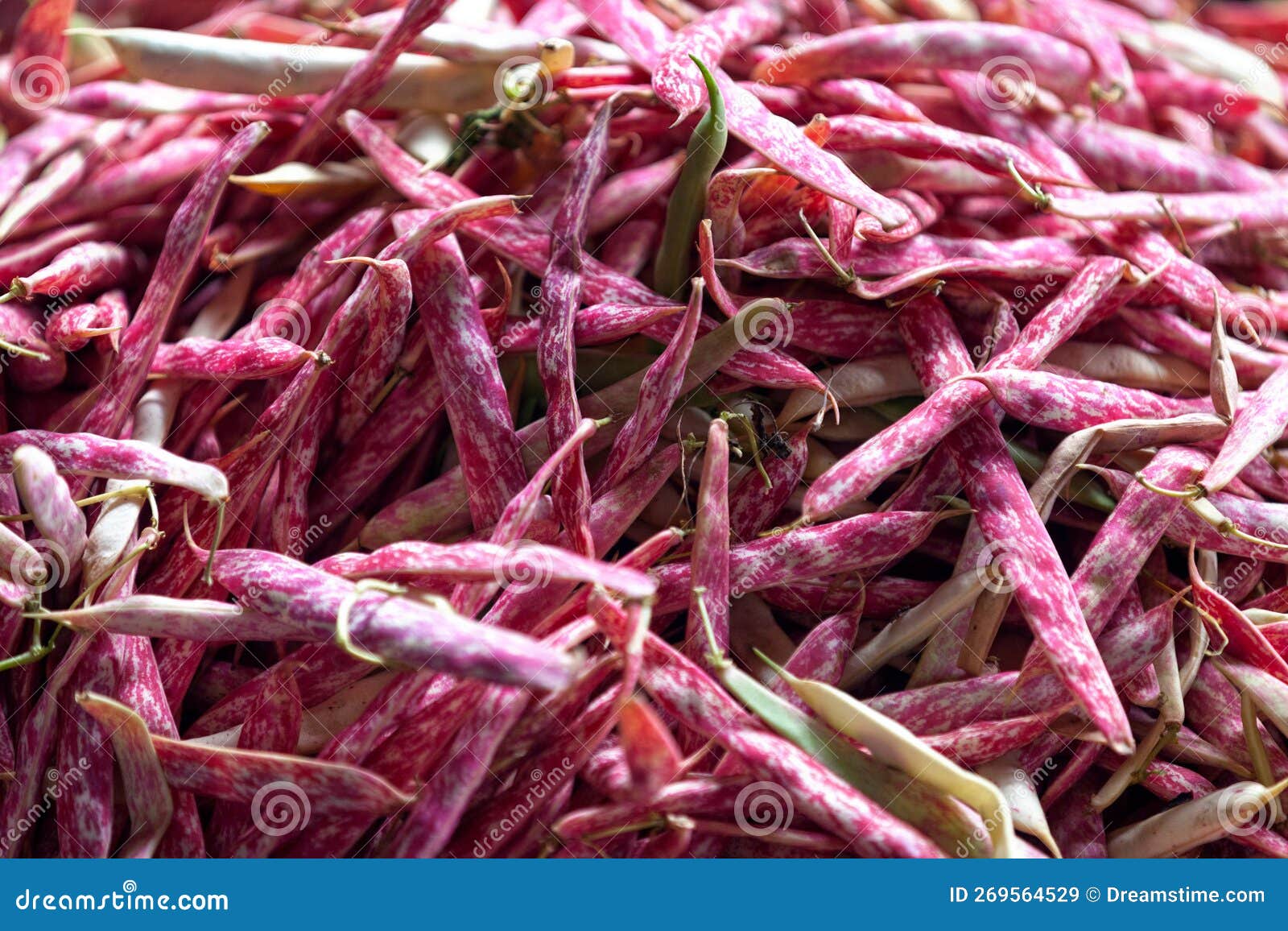 Stack Of Beans On A White Background With Light And Shadow Royalty-Free ...