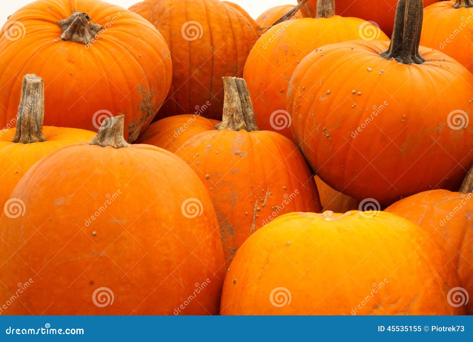 Stack of Bright Orange Autumn Pumpkins Stock Image - Image of orange ...