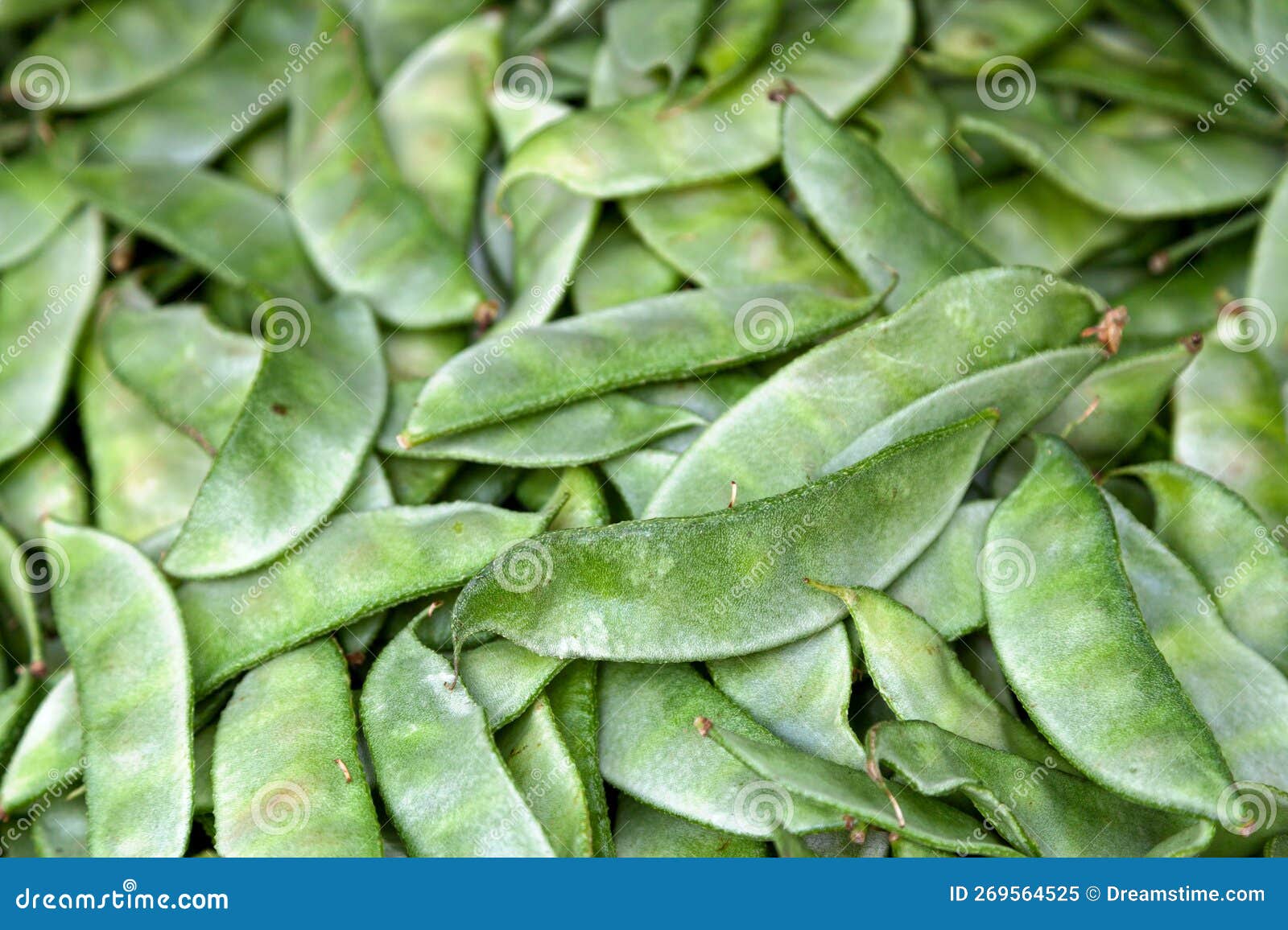 Stack of Broad Beans on a Market Stall Stock Image - Image of stall ...