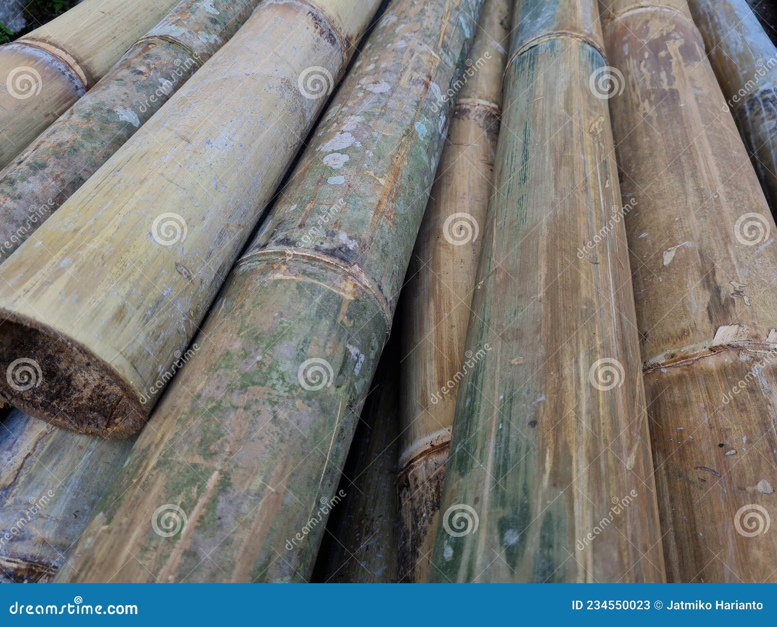 Stack of Brown Bamboo in the School Garden Stock Image - Image of ...
