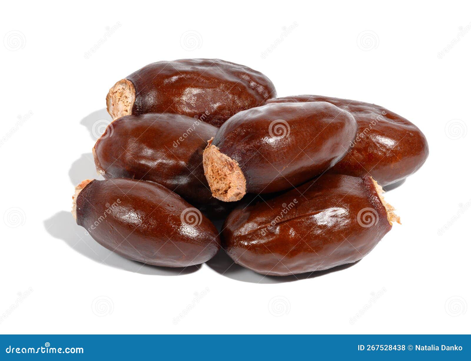 Stack of Brown Lychee Pits on White Isolated Background Stock Photo ...