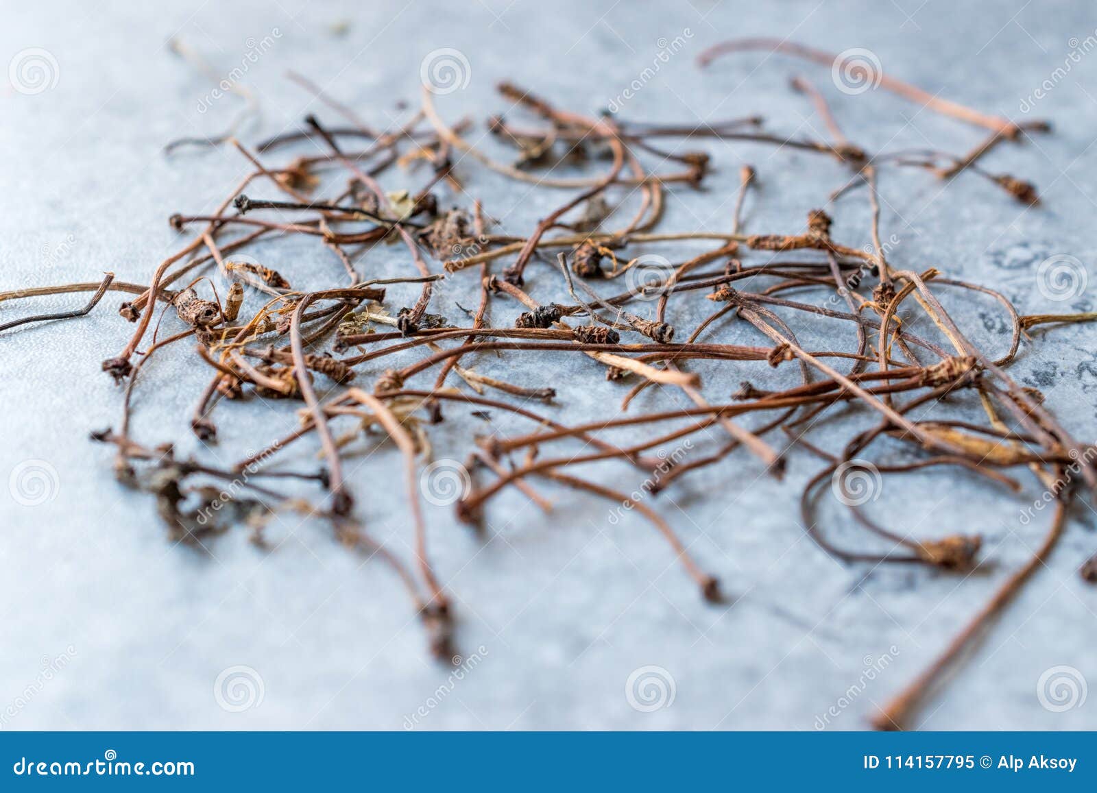 Stack of Cherry Branches / Stalks Ready To Use. Stock Image - Image of ...