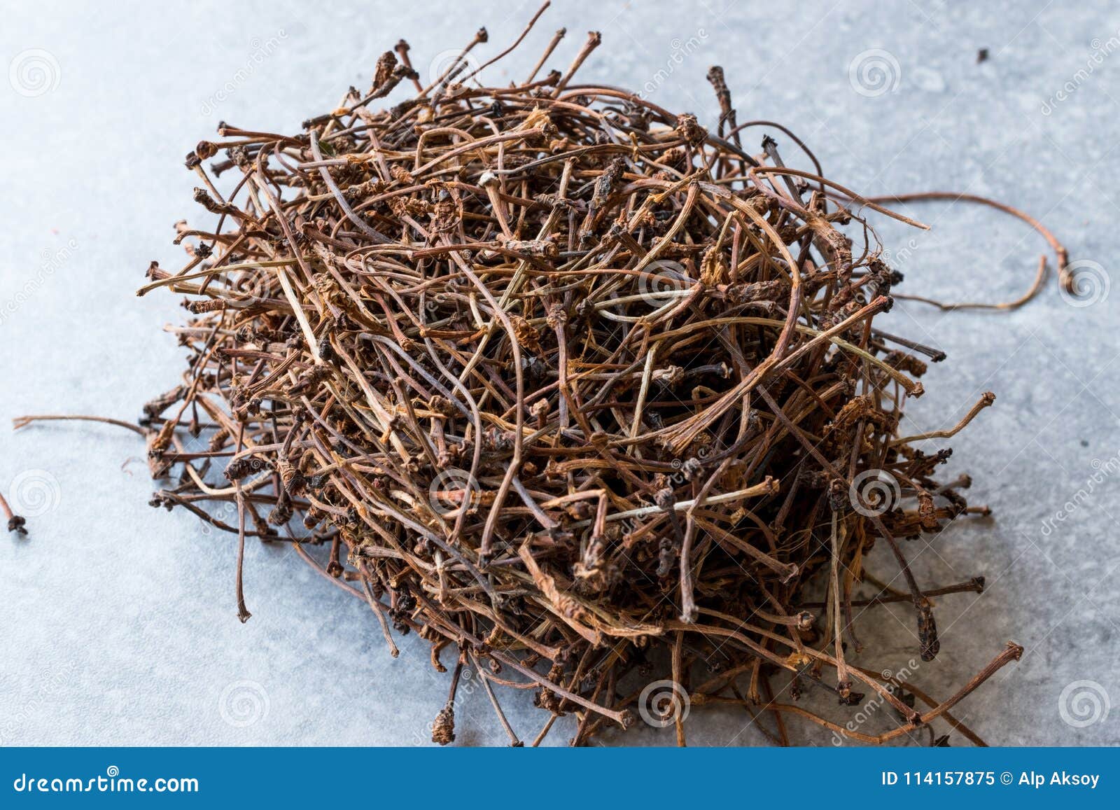 Stack of Cherry Branches / Stalks Ready To Use. Stock Image - Image of ...