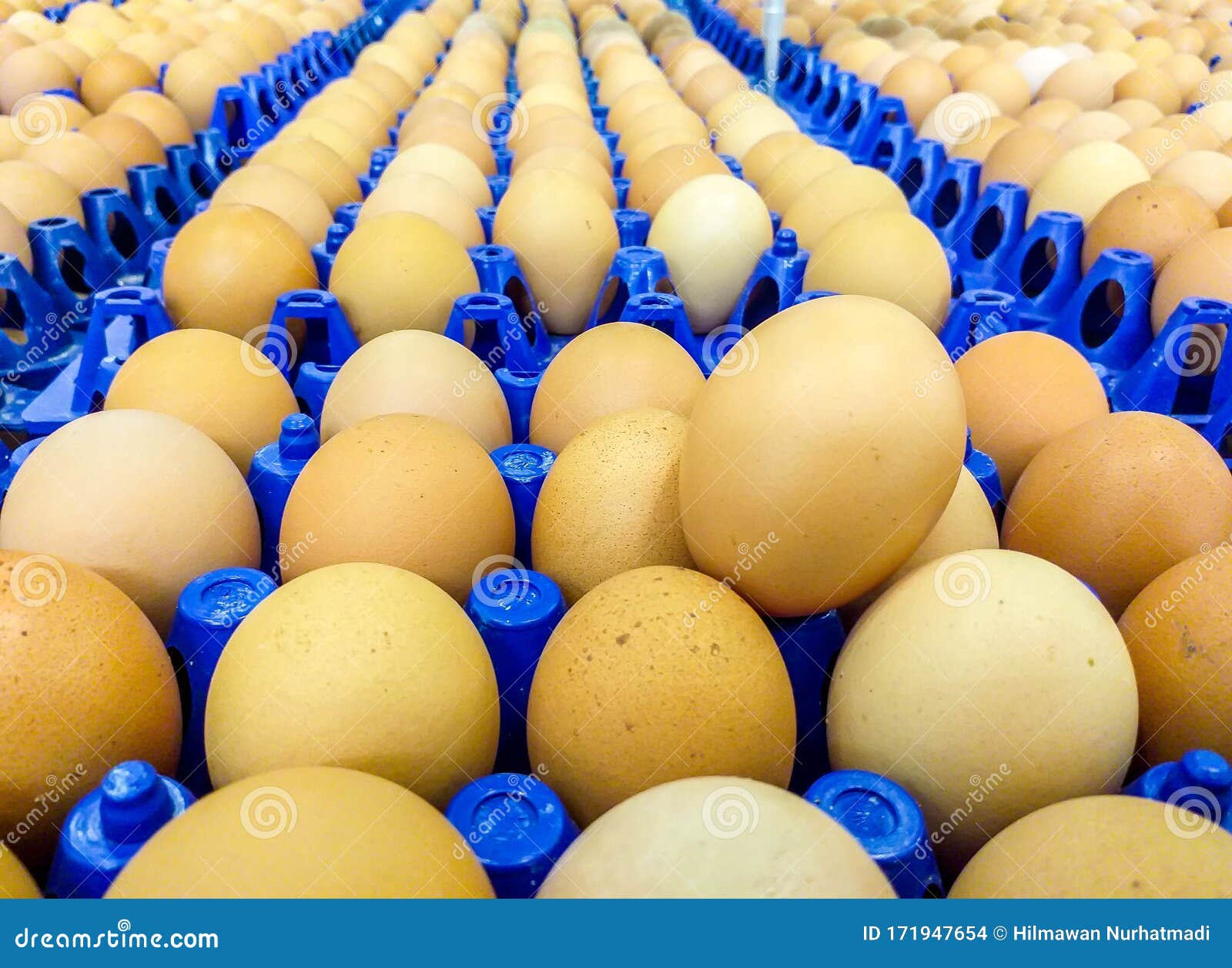 Stack of Chicken Eggs Being Sold at Grocery Store Stock Photo - Image ...