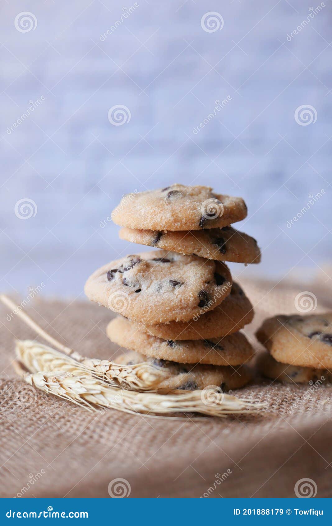 Stack of Chocolate Cookies on White Background Stock Image - Image of ...