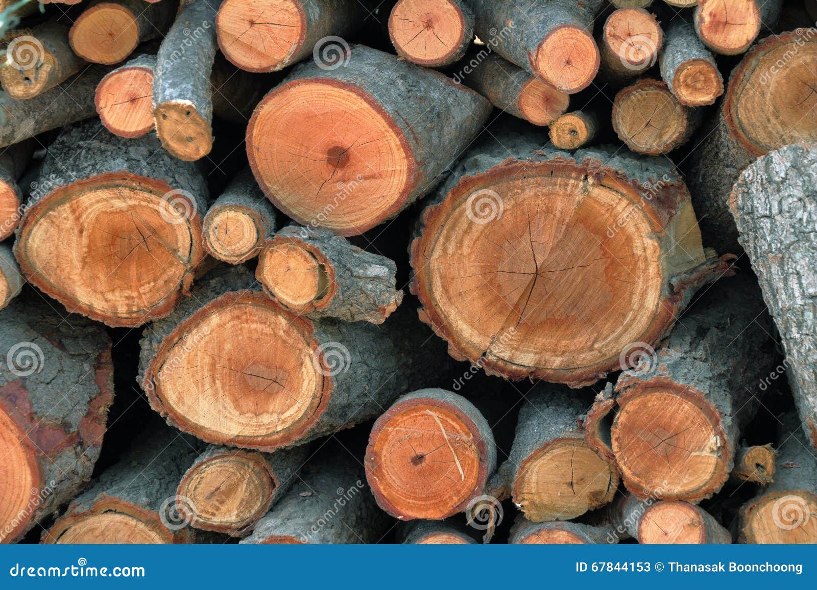 Stack of Chopped Firewood for Fire Camping Stock Image - Image of ready ...