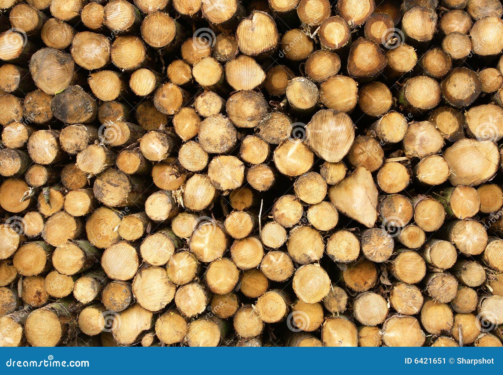 Stack of chopped logs stock image. Image of ends, logging - 6421651
