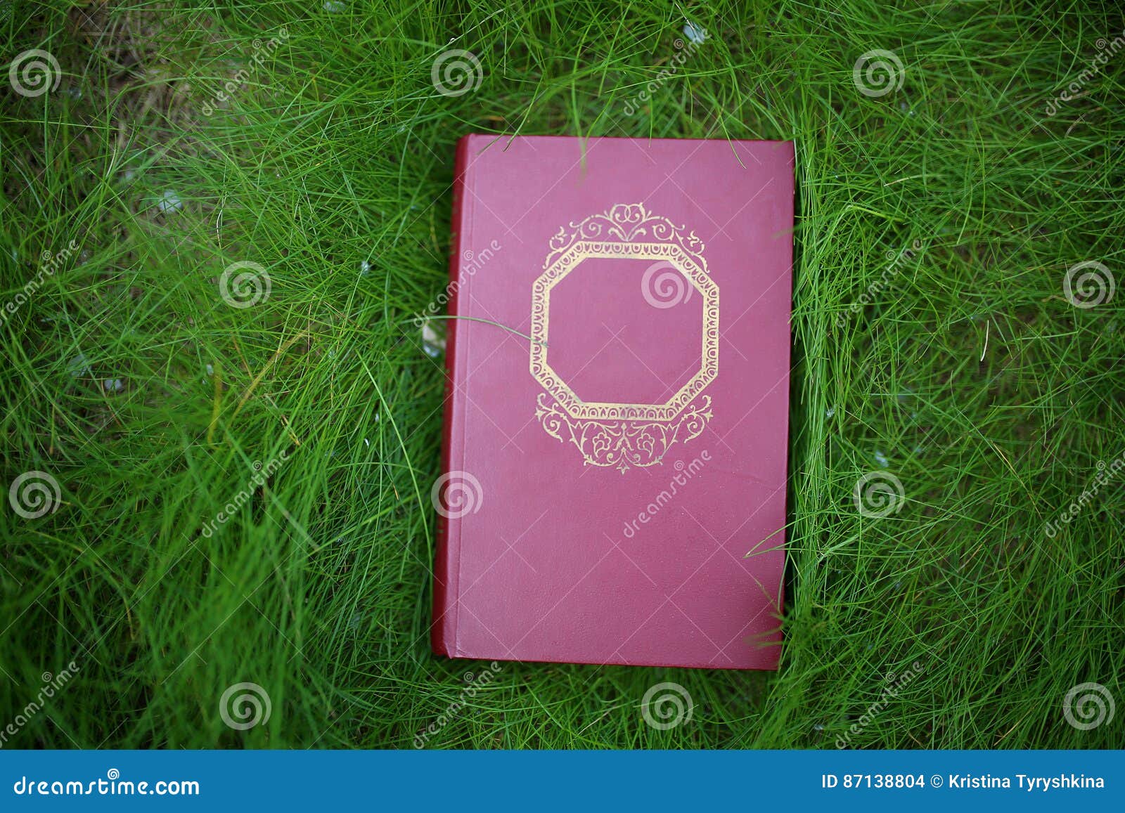 A Stack of Closed Books Outdoor. Books in the Forest Stock Photo ...