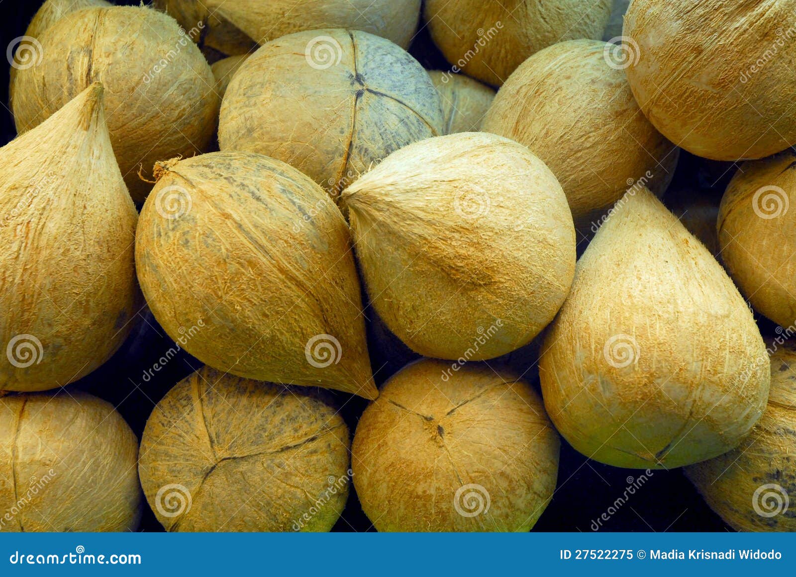 Stack of coconuts stock image. Image of piled, tropical - 27522275