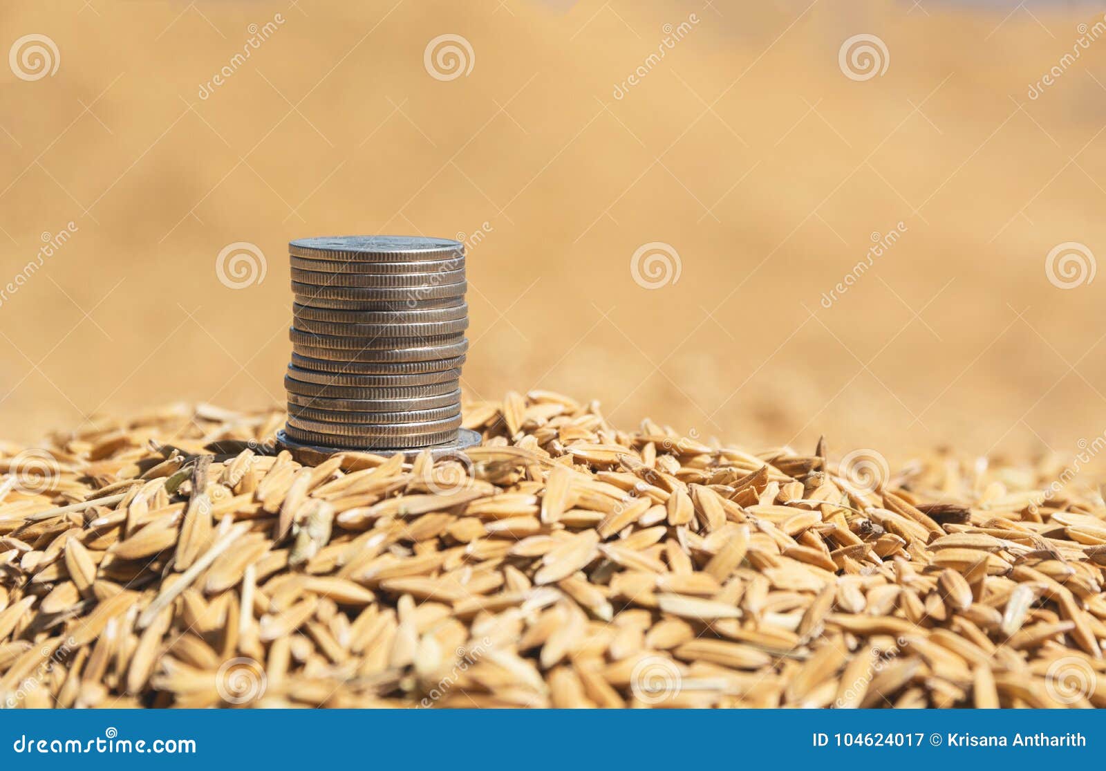 Stack of Coin on Brown Uncooked Rice, Thai Rice Background Stock Image ...