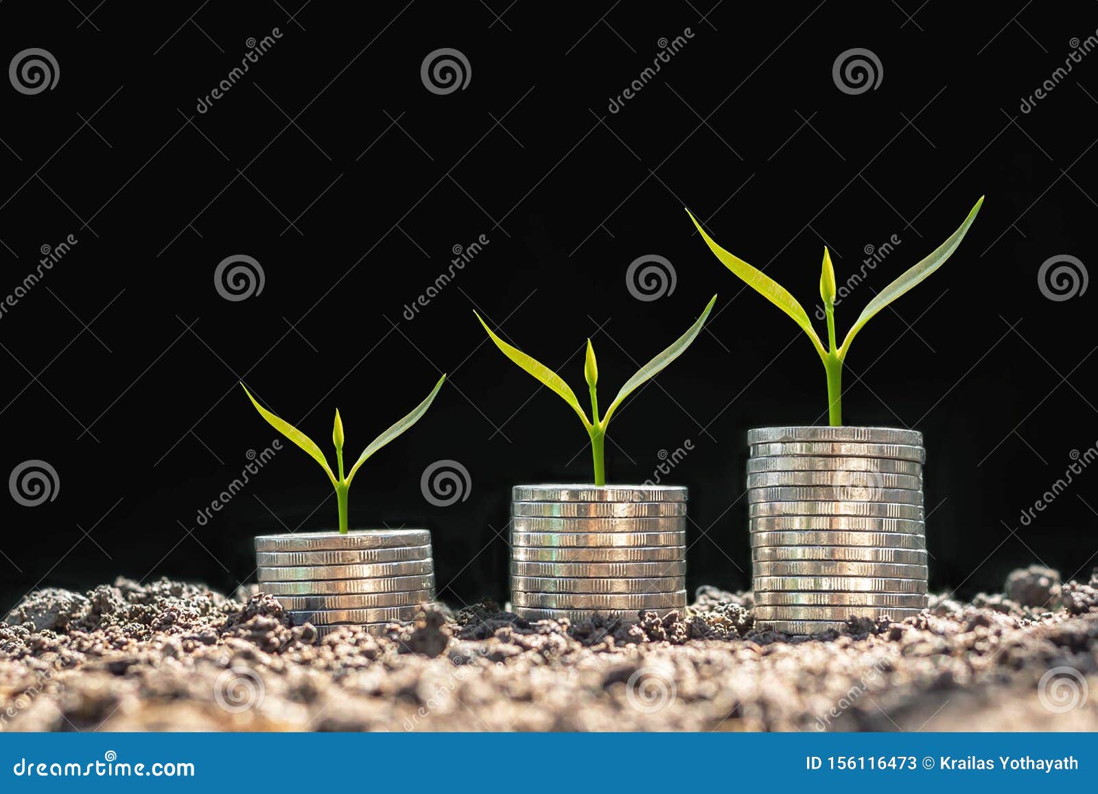 Stack Coins with Plants To Grow into Stages and Black Backgrounds ...