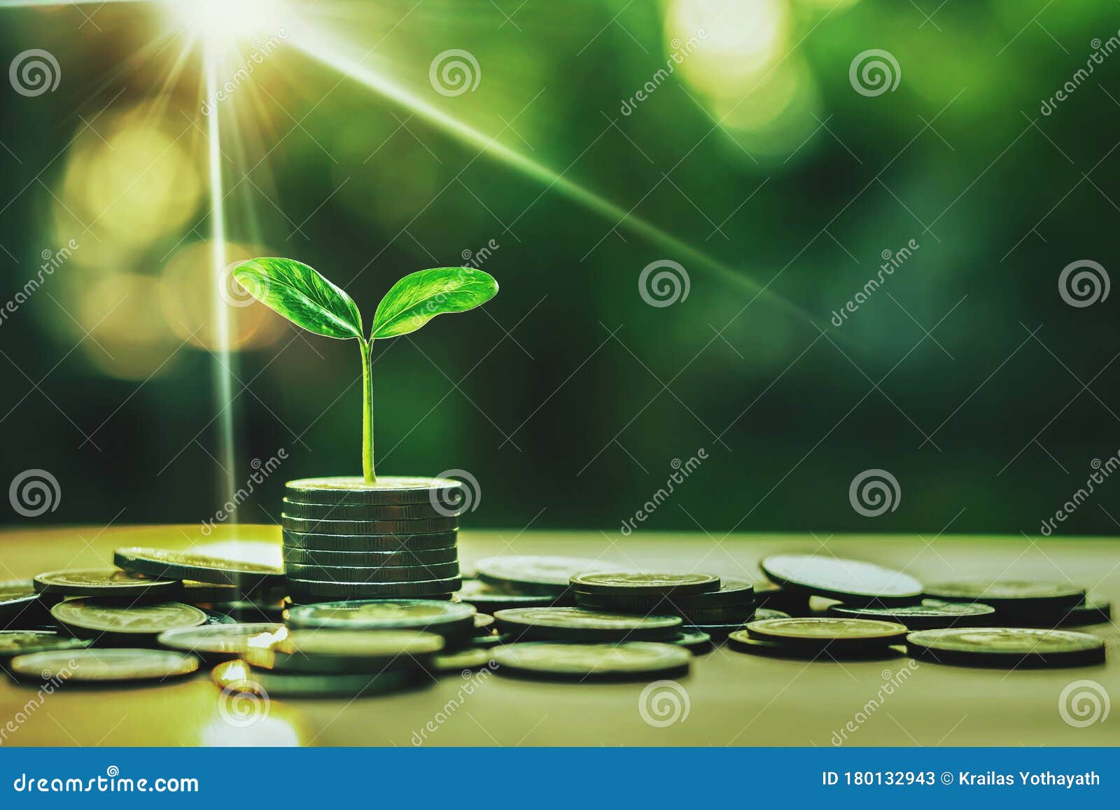 Stack Coins with Plants To Grow into Steps. Business Growth Concept ...