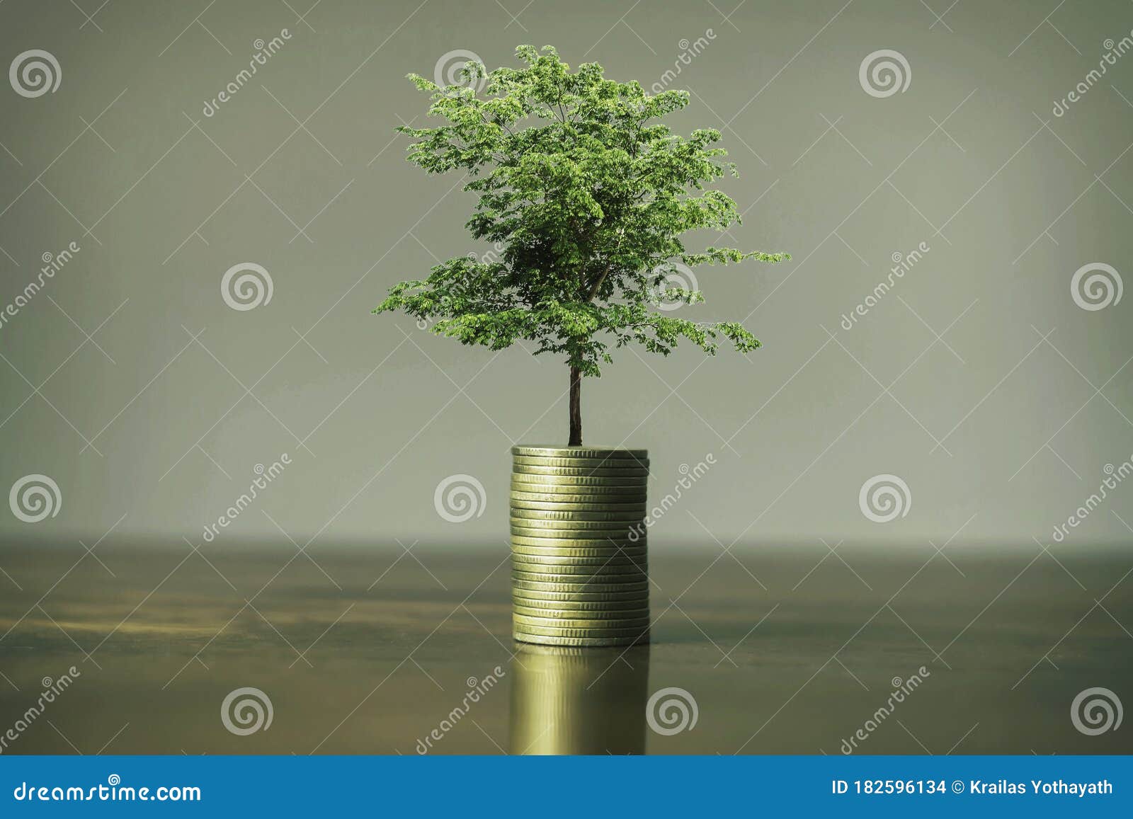 Stack Coins with Plants To Grow into Steps. Business Growth Concept ...