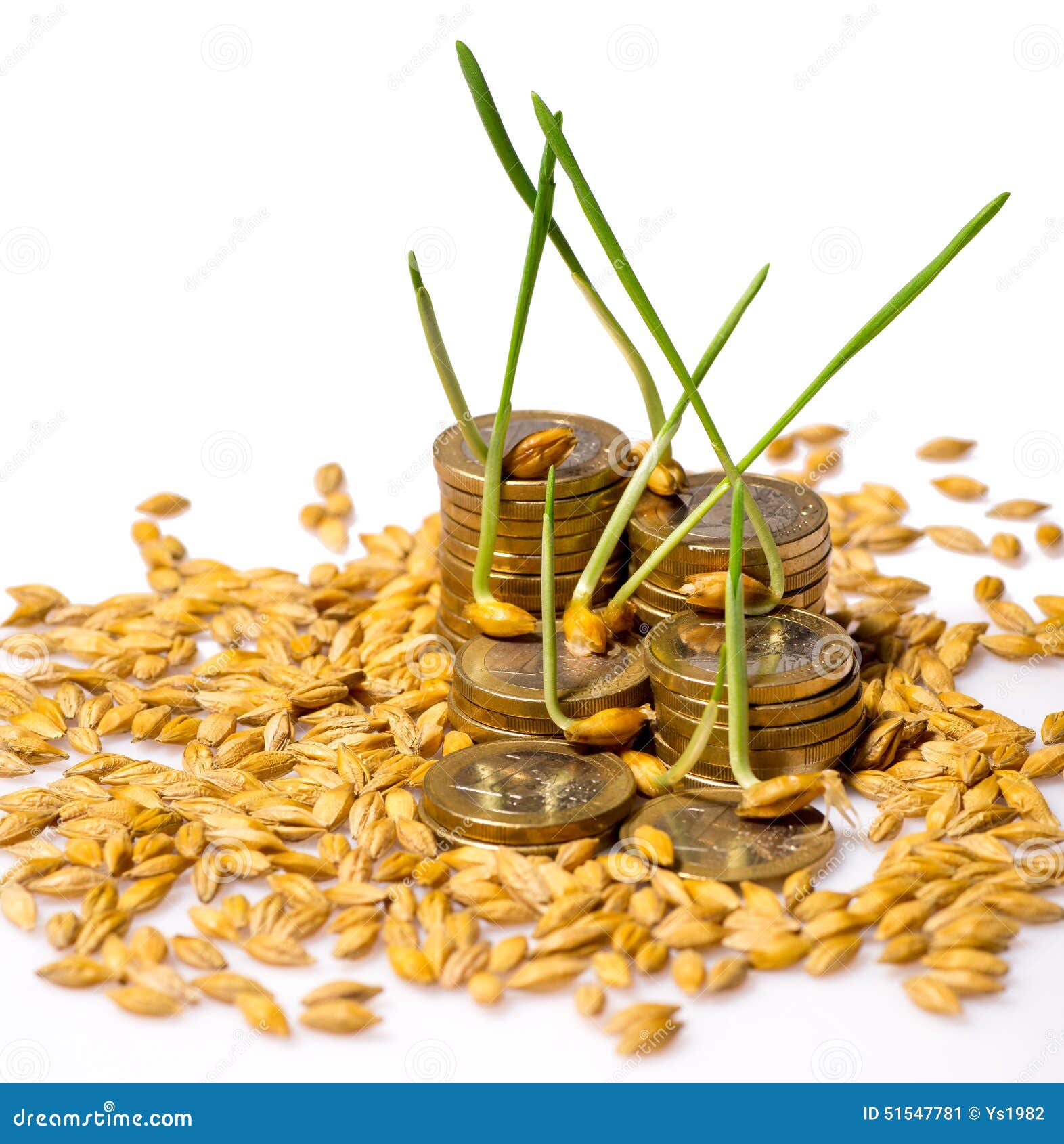 Stack of Coins and Rice Seeds Stock Image - Image of close, stack: 51547781