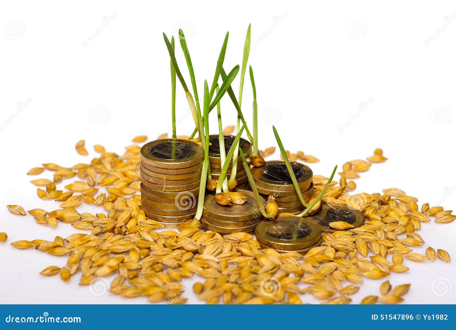 Stack of Coins and Rice Seeds Stock Photo - Image of rice, business ...