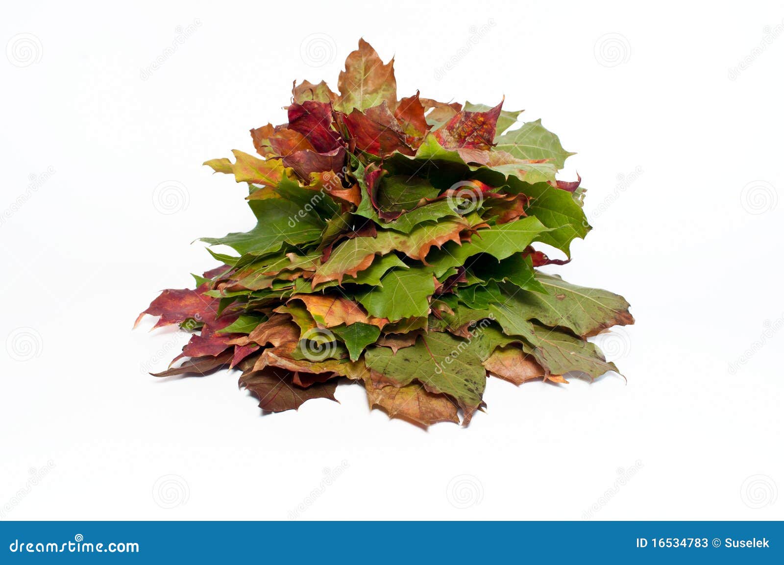 Stack Of Colorful Autumn Leaves Stock Image - Image of vivid, green ...