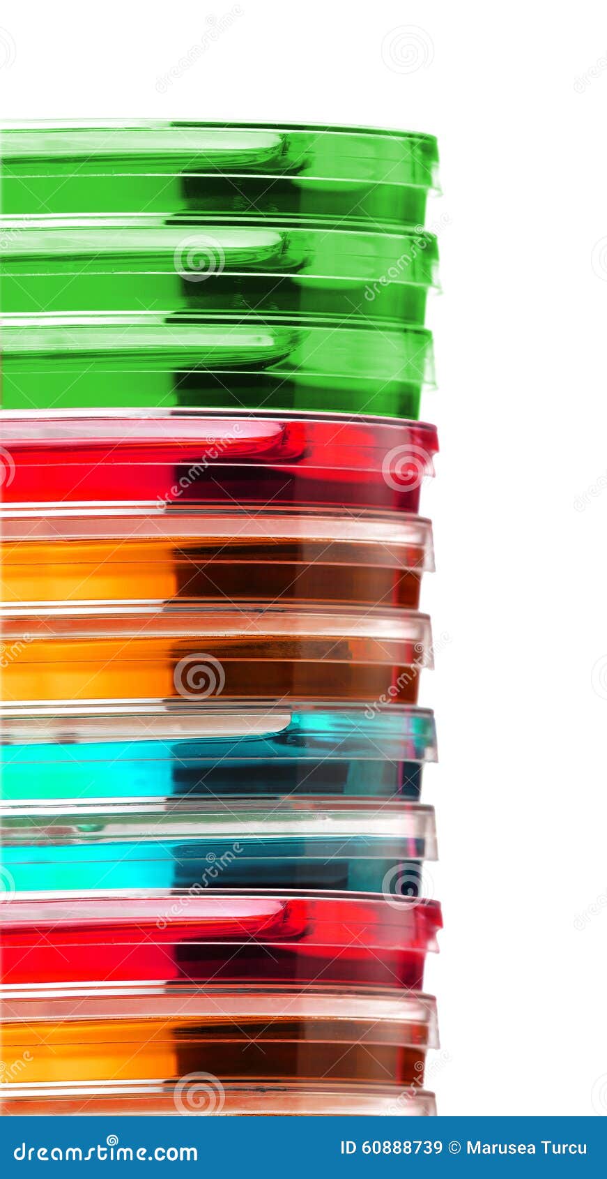 Stack of Colorful Petri Dishes Isolated Stock Image - Image of ...