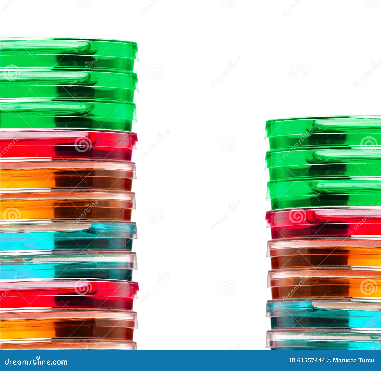 Stack of Colorful Petri Dishes Isolated Stock Photo - Image of bacteria ...