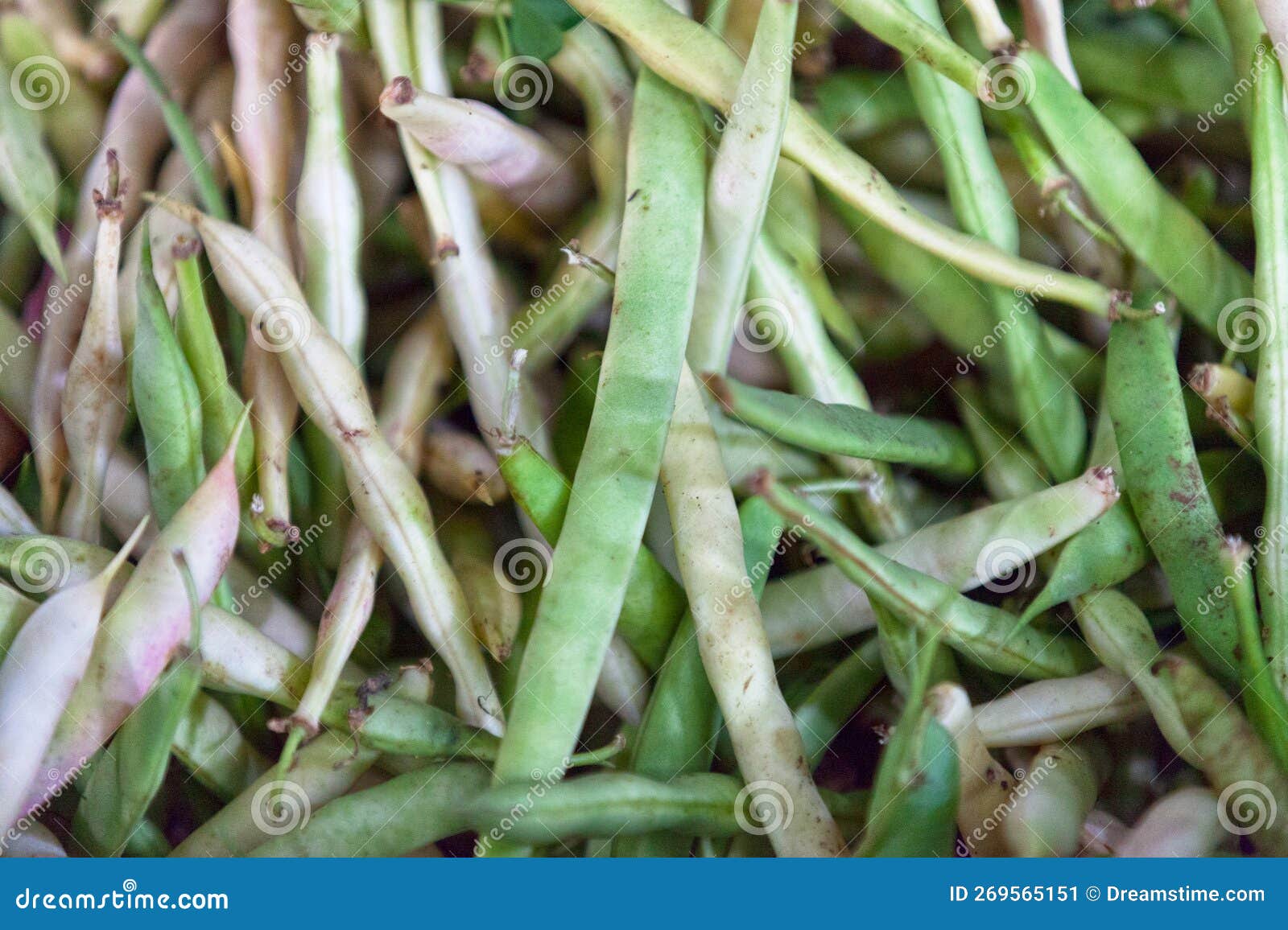 Stack of Common Beans on a Market Stall Stock Image - Image of color ...