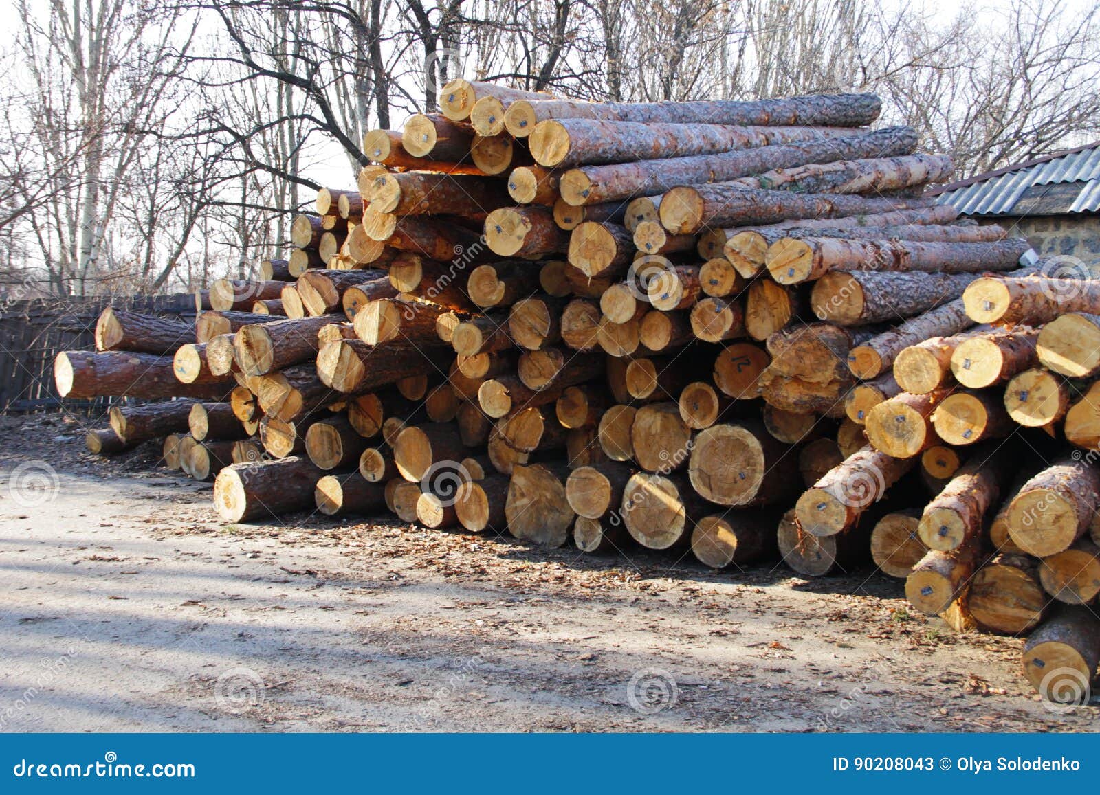 Stack of Construction Raw Timber in Sawmill Yard Stock Image - Image of ...