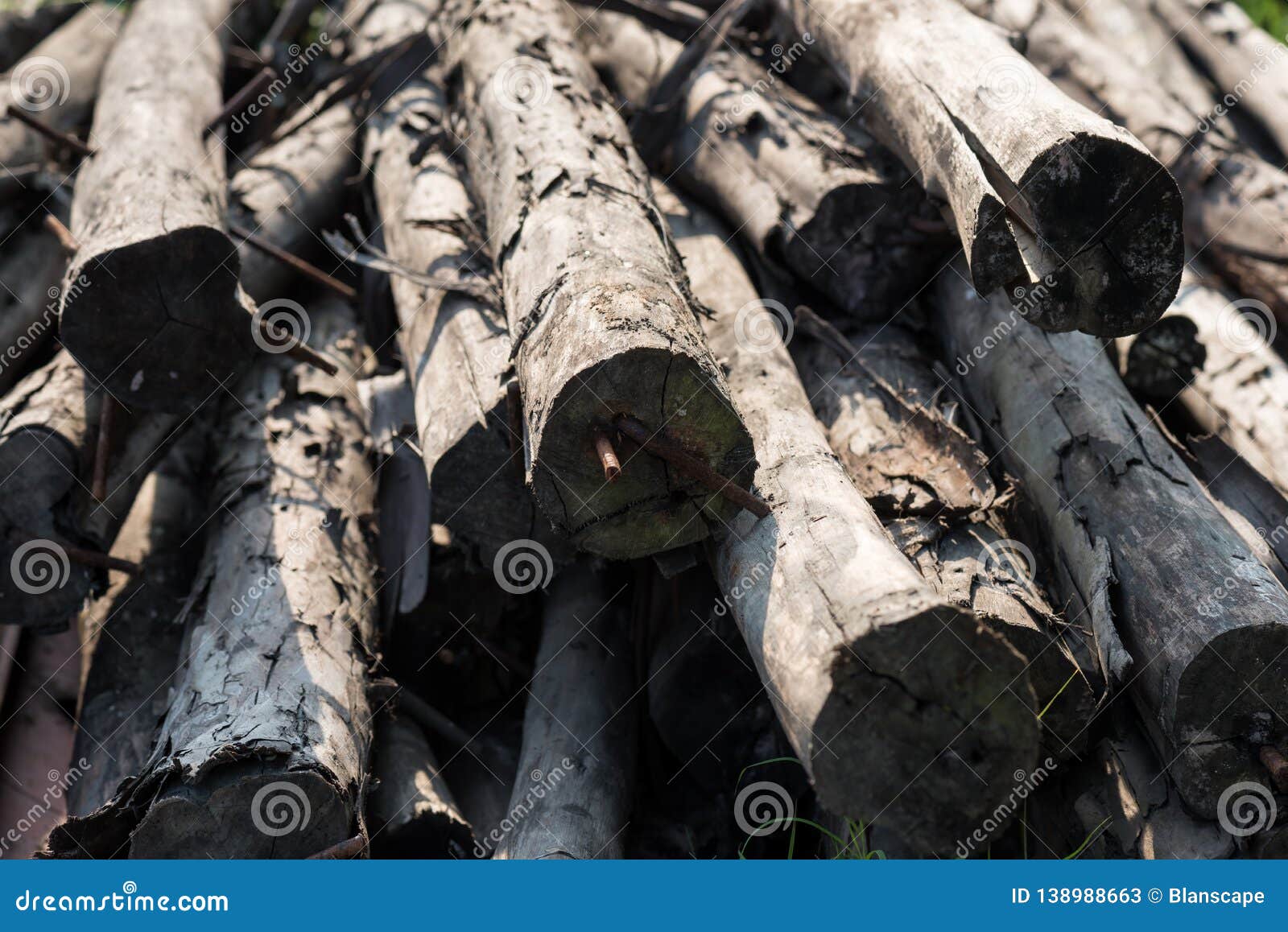 Stack of Construction Raw Timber Stock Image - Image of energy ...