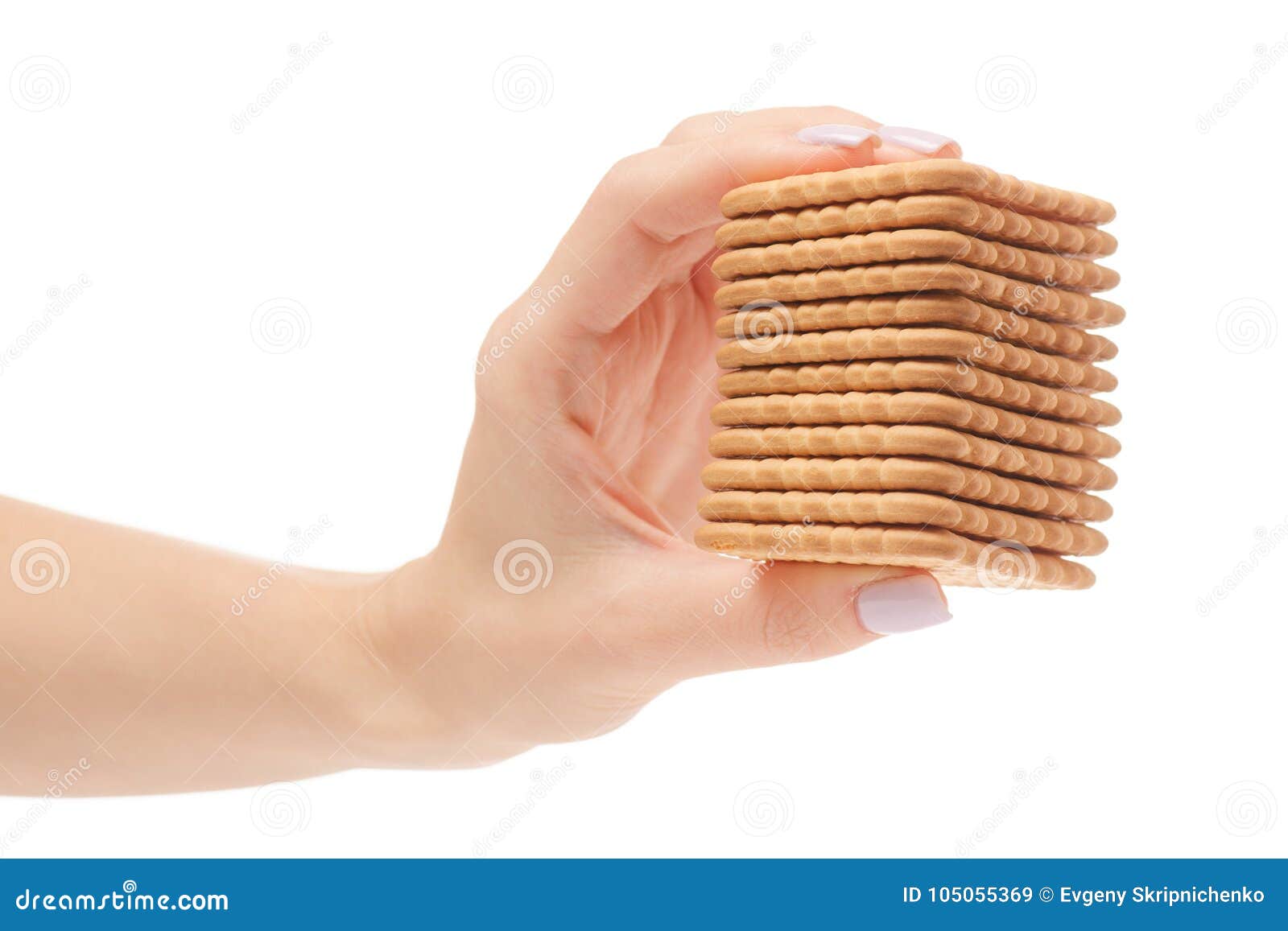 Stack of cookies in hand stock image. Image of chocolate - 105055369